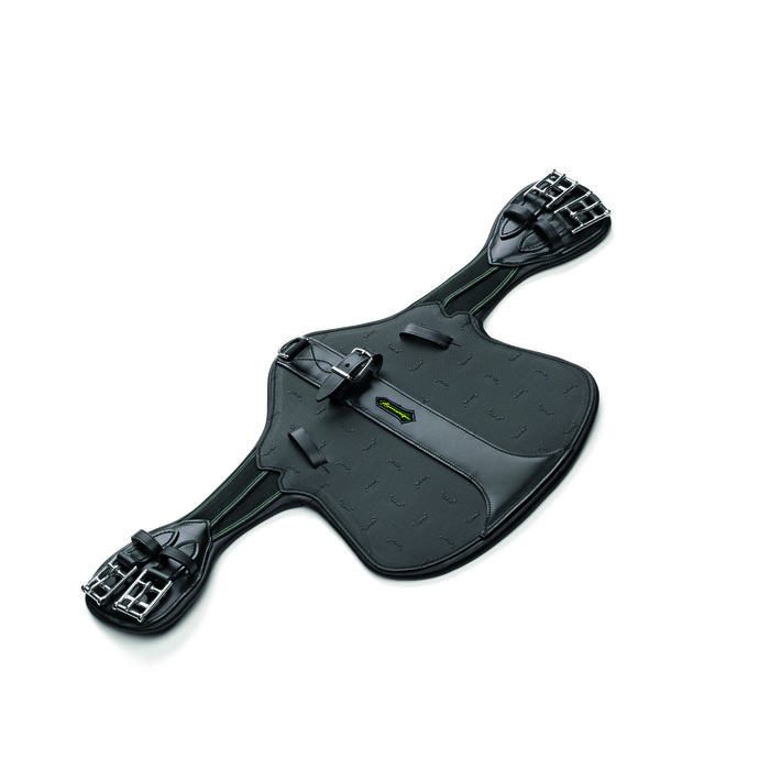 Amerigo stud protector event